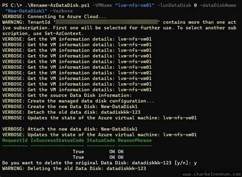 Rename Azure Vm Data Disks Charbel Nemnom Mvp Mct Ccsp Cism Cloud And Cybersecurity
