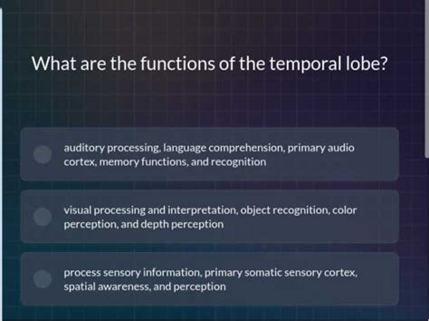 What Are The Functions Of The Temporal Lobe Auditory Processing