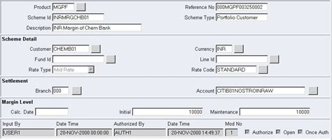 3 Defining A Margin Scheme