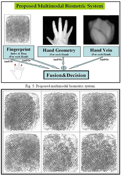 Proposed Multimodal Biometric System Download Scientific Diagram