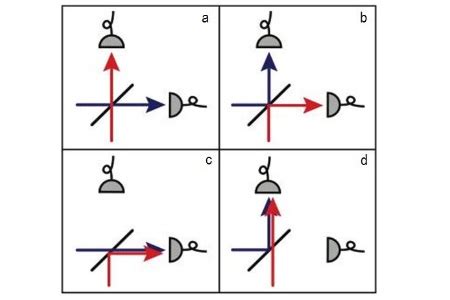 Quantum Interference Links The Fate Of Two Atoms