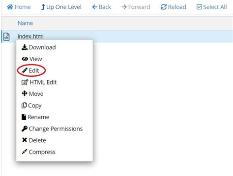 How To Host My Freenom Domain Or Tk Domain Using CPanel BlogLearner