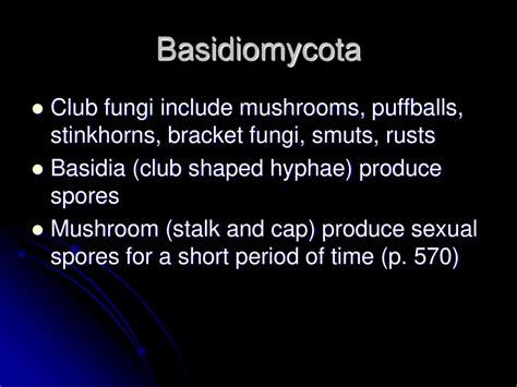 Chapter Part II Fungi Ppt Download