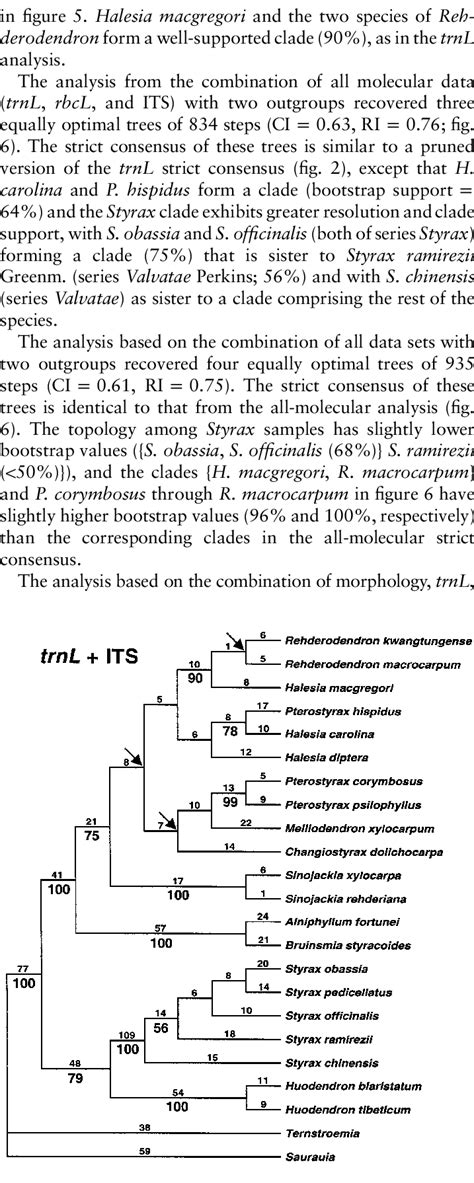 One Arbitrarily Selected Tree Of Six Equally Optimal Trees From
