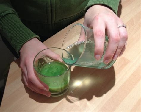 Kiwi Dna Extraction Lab At Robert Gratton Blog