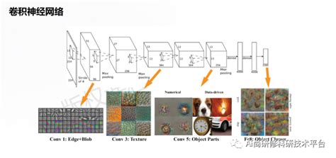 卷积神经网络（cnn）：基于pytorch的遥感影像、无人机影像的地物分类、目标检测、语义分割和点云分类 Csdn博客