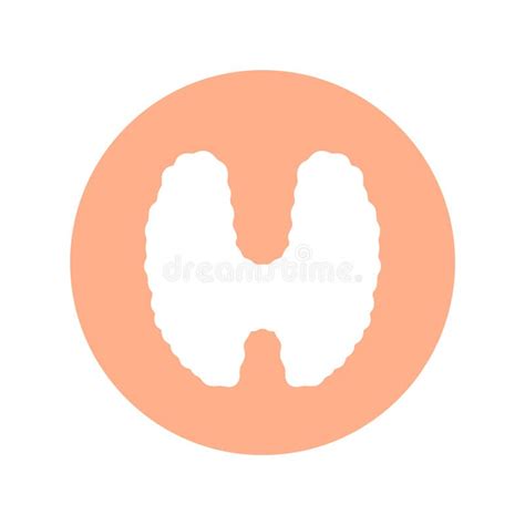 Thyroid Gland Graphic Sign Stock Vector Illustration Of Education