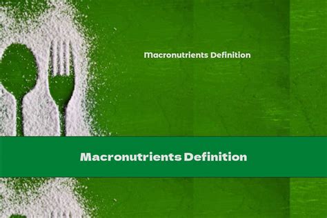 Macronutrients Definition This Nutrition