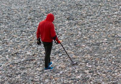 How To Use A Wordpress Plugin Detector Envato Tuts