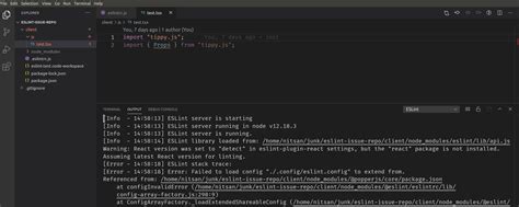 Eslint Extension Keeps Giving Errors For A Nodemodules Package Failed To Load Config