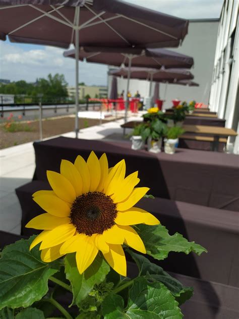 Non Invasive Flow Meters And Bubble Detectors By Sonotec On Linkedin Ultrasound