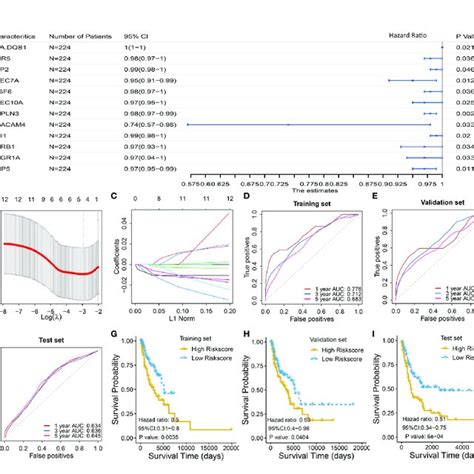 Variable Selection Using The Lasso Binary Logistic Regression Model A Download Scientific