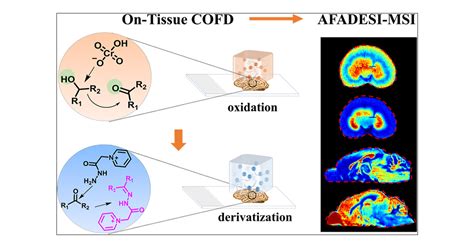 On Tissue Chemical Oxidation Followed By Derivatization For Mass Spectrometry Imaging Enables