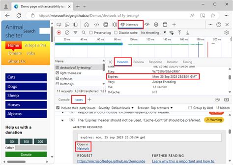 Find And Fix Problems Using The Issues Tool Microsoft Edge Developer Documentation Microsoft
