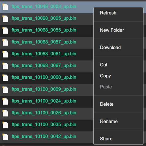 Cerberus Ftp Server 125 Introduces Zip And Download” For Multiple Files Cerberus Ftp Server