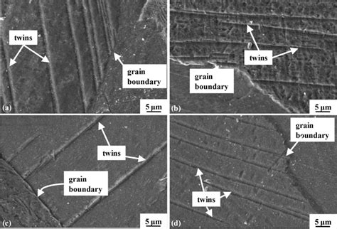 Sem Micrographs Of Cross Section In Fz Of Lsped Welded Specimens For Download Scientific