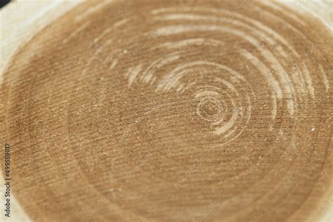 나이테가 보이는 나무 조각과 글씨를 작성할수 있는 나무조각 나무의 질감을 표현한 이미지 素材庫相片 Adobe Stock