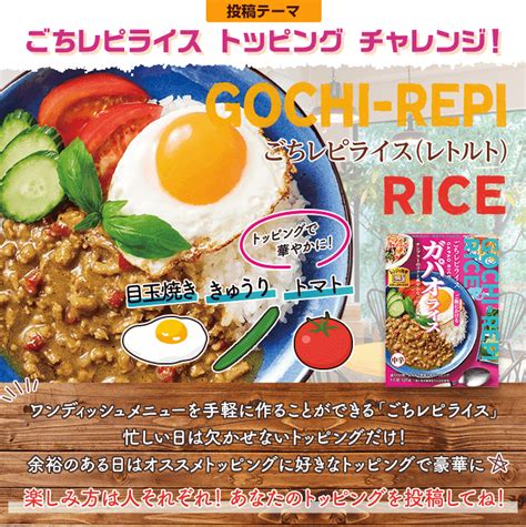 フォト部 ハウス食品「ごちレピライスレトルト4種×各2セット」