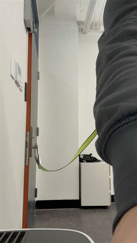 Lifeline Detection Object Detection Dataset V2 2023 05 22 4 44pm By Seoul National University