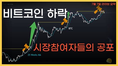 비트코인 하락 시장참여자들의 공포7월 7일 라이브 주요내용 요약 Youtube