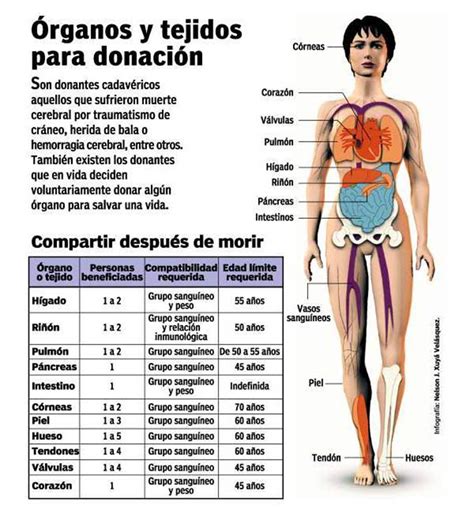 Órganos Y Tejidos Para Donación Invdes