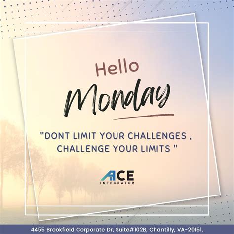 Aceintegrator Inc On Linkedin Dont Limit Your Challenges Challenge