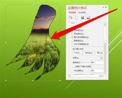 Ppt形状怎么填充任意图形 站长素材资讯