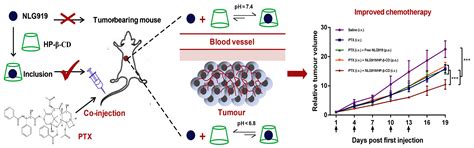 Application Of Cyclodextrin For Cancer Immunotherapy