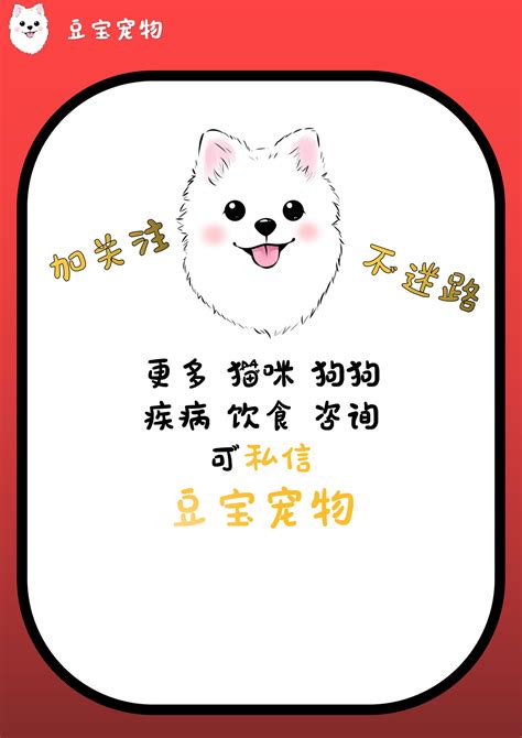 【豆宝小课堂】猫咪的“难言之隐”膀胱炎 哔哩哔哩