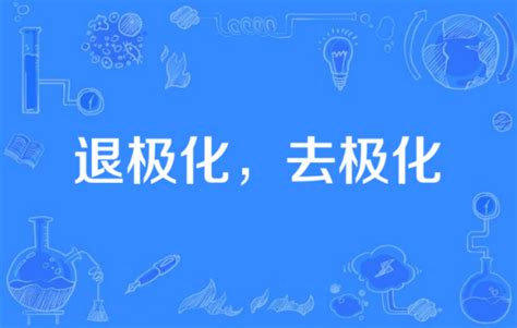 退极化，去极化 百度百科