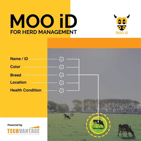 Balu Ramesh On Linkedin Challenge Costeffective Technology Innovation