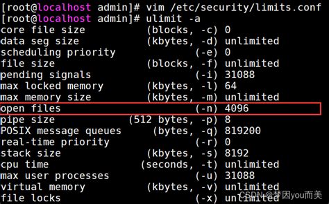 Linux修改文件句柄数linux修改句柄数 Csdn博客