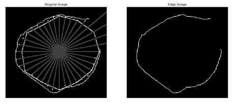 Python Closing An Open Boundary In An Image Stack Overflow