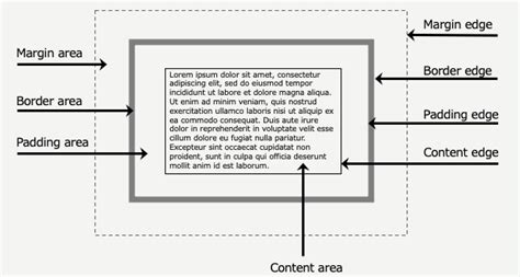 Box Model Foundations Of Web Development