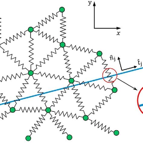 Schematic Representation Of Lattice Array Download Scientific Diagram