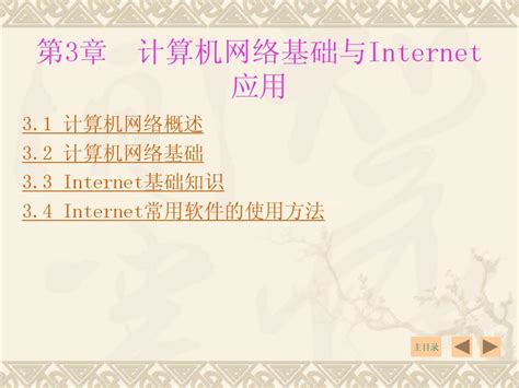 第3章 计算机网络基础与internet应用word文档在线阅读与下载无忧文档