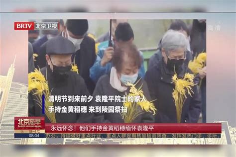 永远怀念他们手持金黄稻穗缅怀袁隆平 稻穗 袁隆平