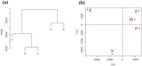 A Hierarchical Clustering Analysis Plot The Height Represents The