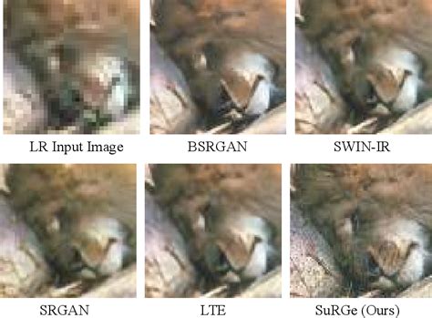 Fortifying Fully Convolutional Generative Adversarial Networks For