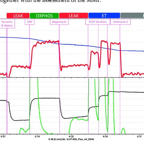 Example Of A Suit Protocol Pattern On Isolated Mitochondria O2