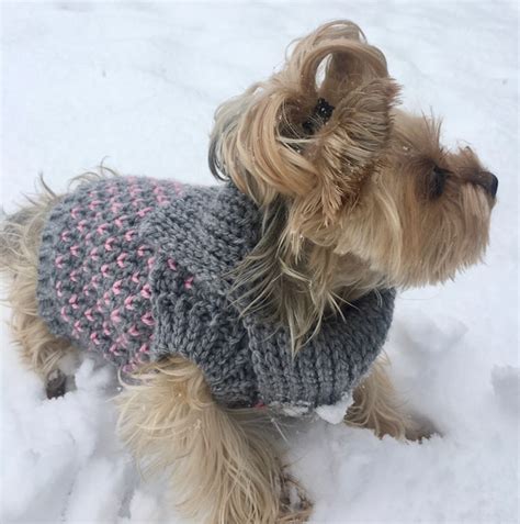 Hooded Dog Sweater Pattern Crochet Dog Hoodie Dog Coat 2 Etsy Canada