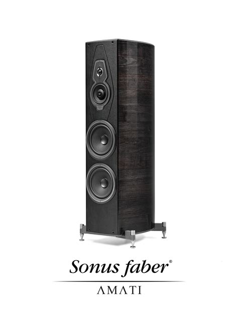 Sonus Faber Speakers Installation In Tampa Fl