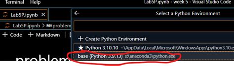 Anaconda Environment Not Appearing In Codespace R Vscode