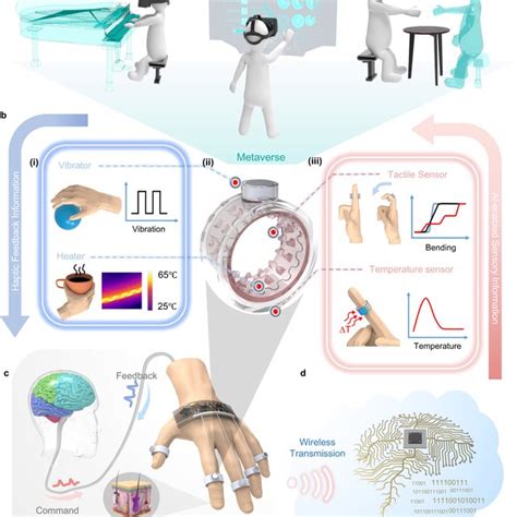 Pdf Augmented Tactile Perception And Haptic Feedback Rings As Human Machine Interfaces Aiming
