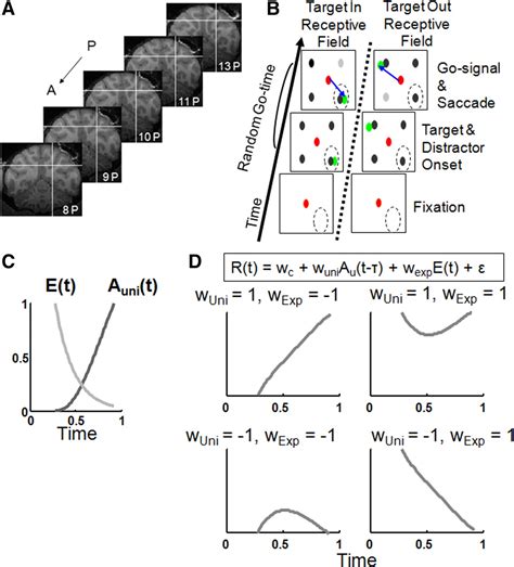 Functional Heterogeneity Of Macaque Lateral Intraparietal Neurons Journal Of Neuroscience