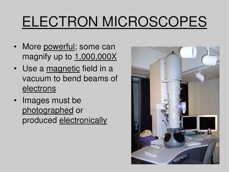 Biology 111 Holyoke Walsh Ppt Download
