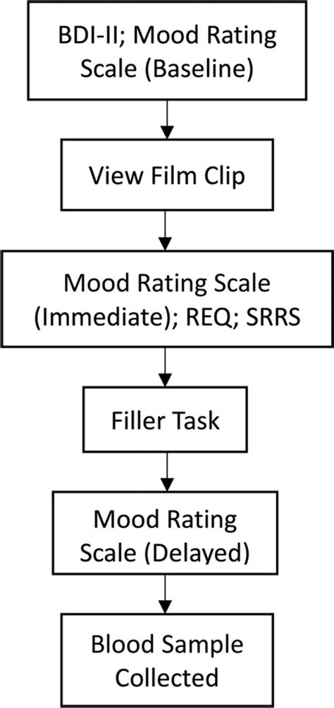 Sex Hormones Are Associated With Rumination And Interact With Emotion Regulation Strategy Choice
