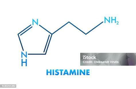 히스타민 개념 화학 공식 아이콘 레이블 텍스트 글꼴 벡터 일러스트 레이 션 분자 구조에 대한 스톡 벡터 아트 및 기타 이미지 분자 구조 신경 전달 물질 건강관리와