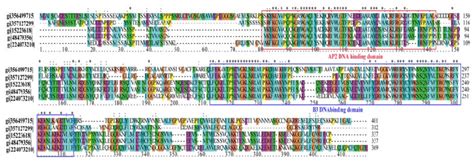 Sequence Alignment And Characterization Analyses Of Ap2 Genes The Ap2 Download Scientific