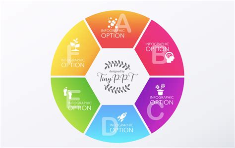 Circle Chart Infographic Process TinyPPT